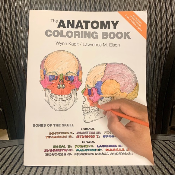 Pearson | Other | Pearson The Anatomy Coloring Book | Poshmark